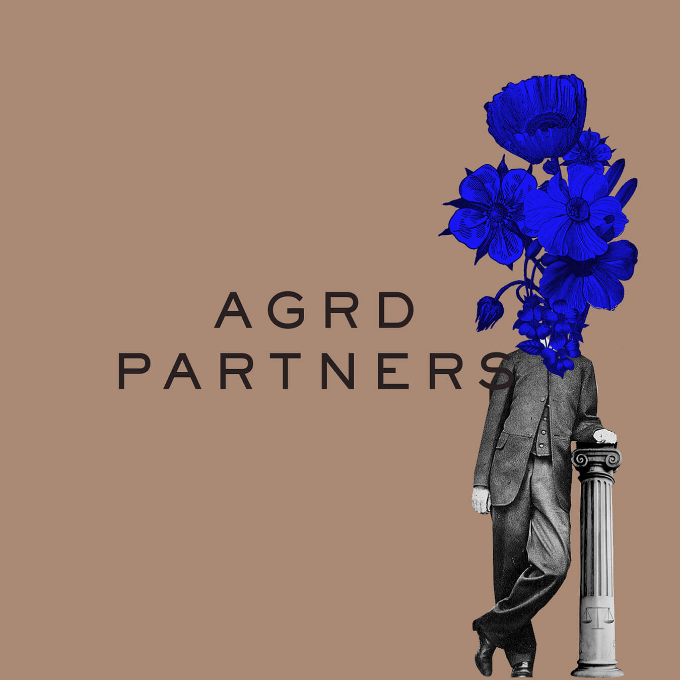About Us | Born Law